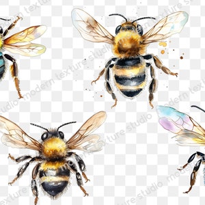 Watercolor Honey Bee Clipart - 18 Piece Honey Bee Floral Honey Jar Bee ...