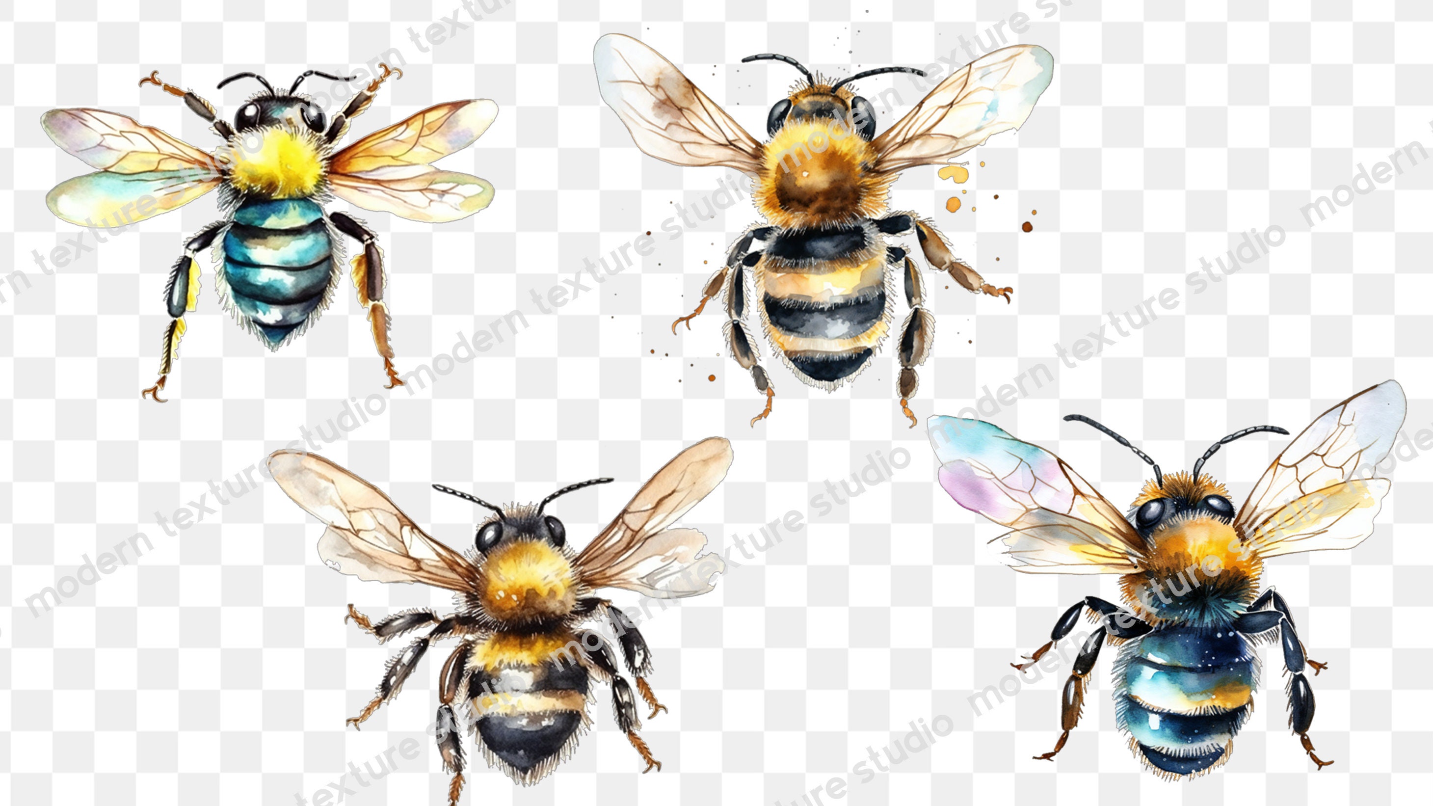 Watercolor Honey Bee Clipart 18 Piece Honey Bee Floral Honey - Etsy