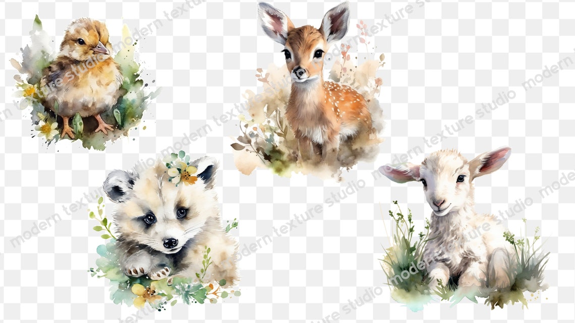 Watercolor Spring Baby Animals Clipart – PNG Images (digital Download ...