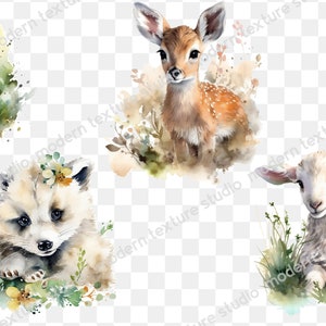Watercolor Spring Baby Animals Clipart – PNG Images (digital Download ...