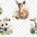 Watercolor Spring Baby Animals Clipart – PNG Images (digital Download ...