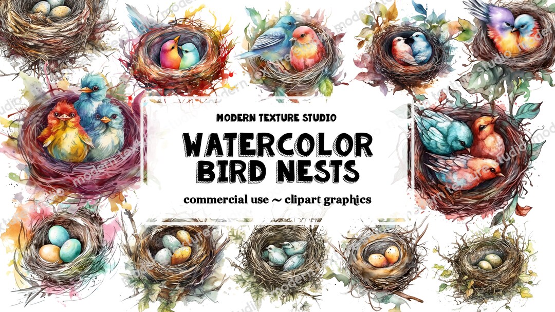 Watercolor Spring Bird Nests Clipart - Transparent Springtime Cute ...