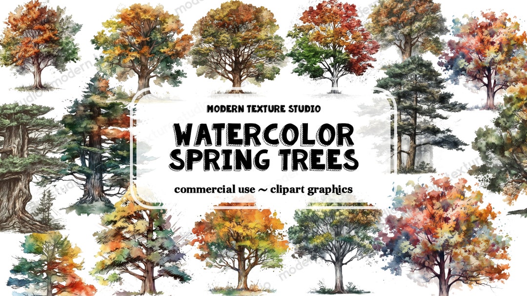Watercolor Spring Tree Clipart – Blossom Foliage PNG (commercial Use ...