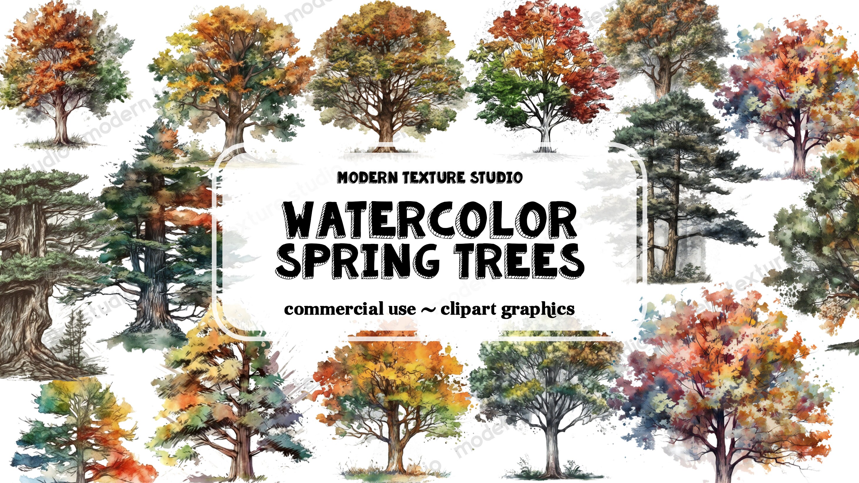 Watercolor Spring Tree Clipart - Springtime Blossom Trees in the Park ...
