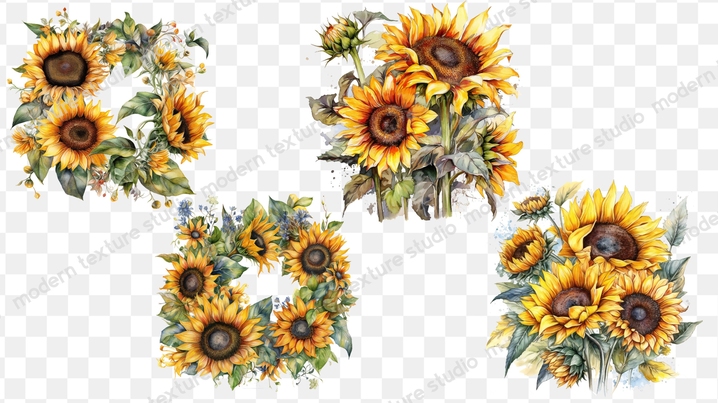 Watercolor Sunflower Pack Clipart - 20 Piece Fall Sunflower Floral ...