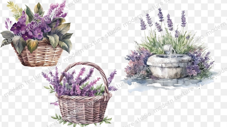 Watercolor Clipart Lavender Garden Pack - 18 Pc Provence Floral Spring ...