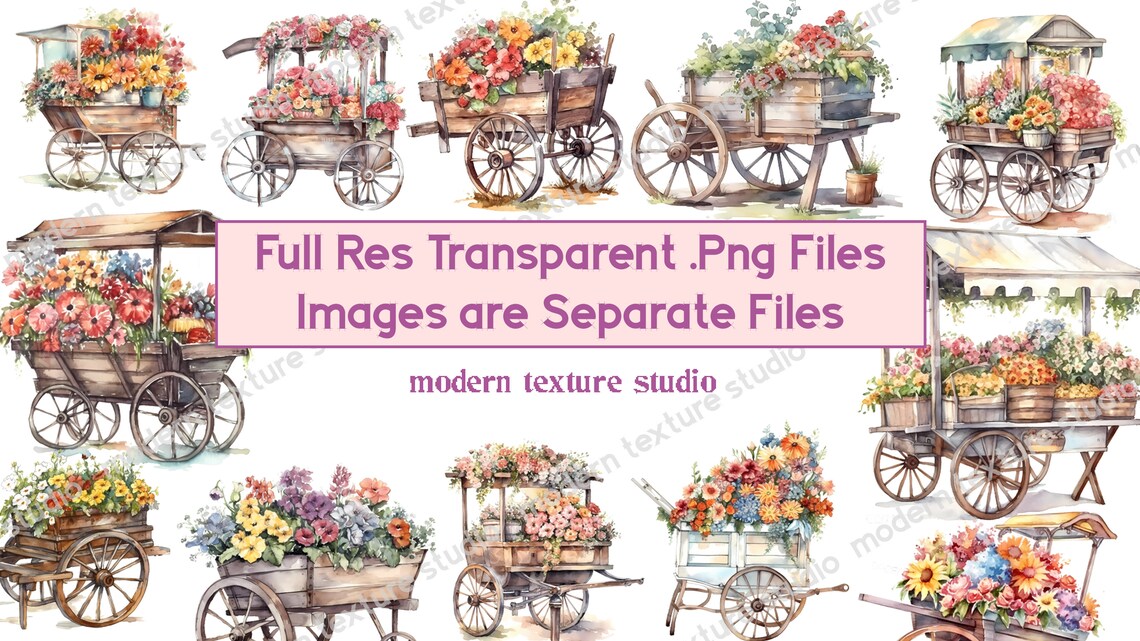 Watercolor Flower Carts Clipart 17 Piece Transparent Background Floral ...
