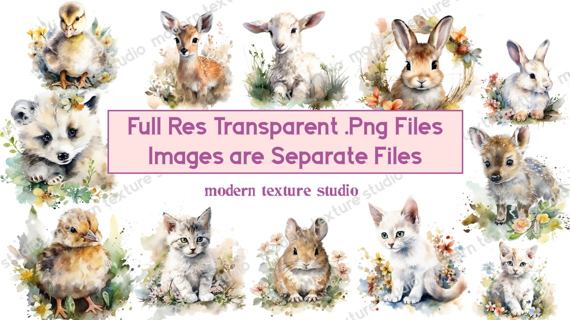 Watercolor Spring Baby Animals Clipart – PNG Images (digital Download ...