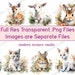 Watercolor Spring Baby Animals Clipart – PNG Images (digital Download ...