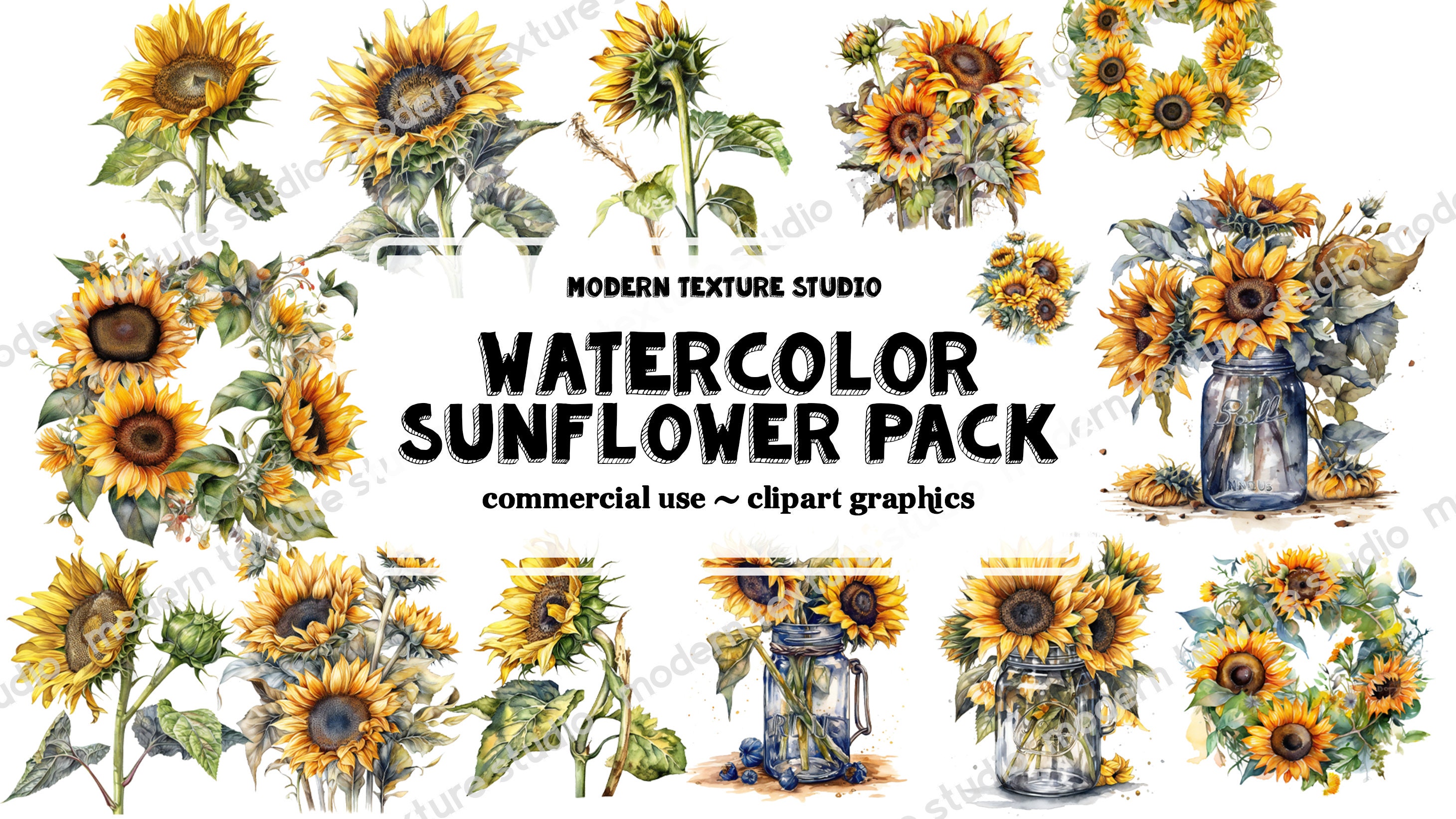 Watercolor Sunflower Pack Clipart - 20 Piece Fall Sunflower Floral ...