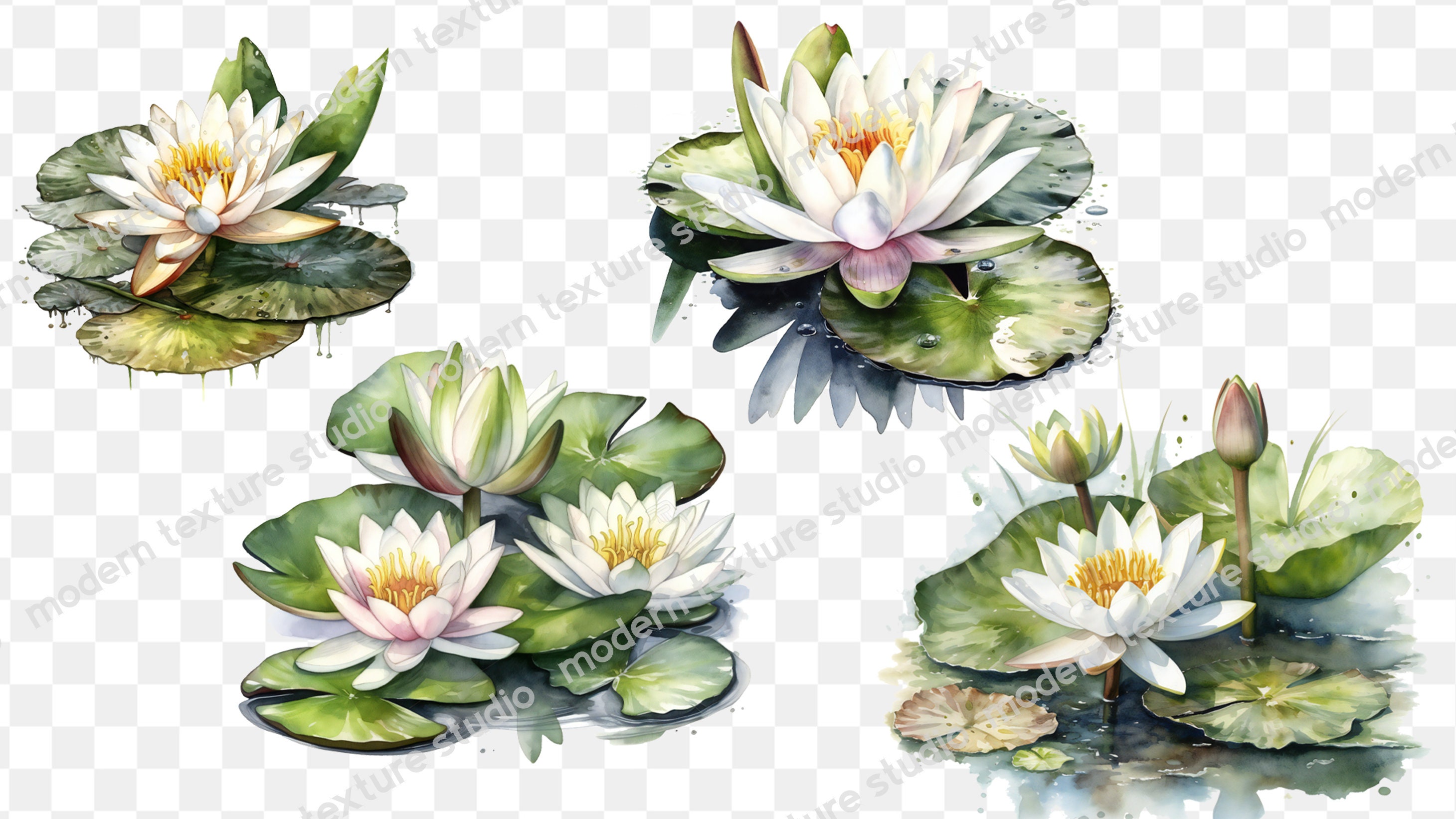 Watercolor Lily Pond Clipart - 18 Piece Transparent Springtime Cute ...