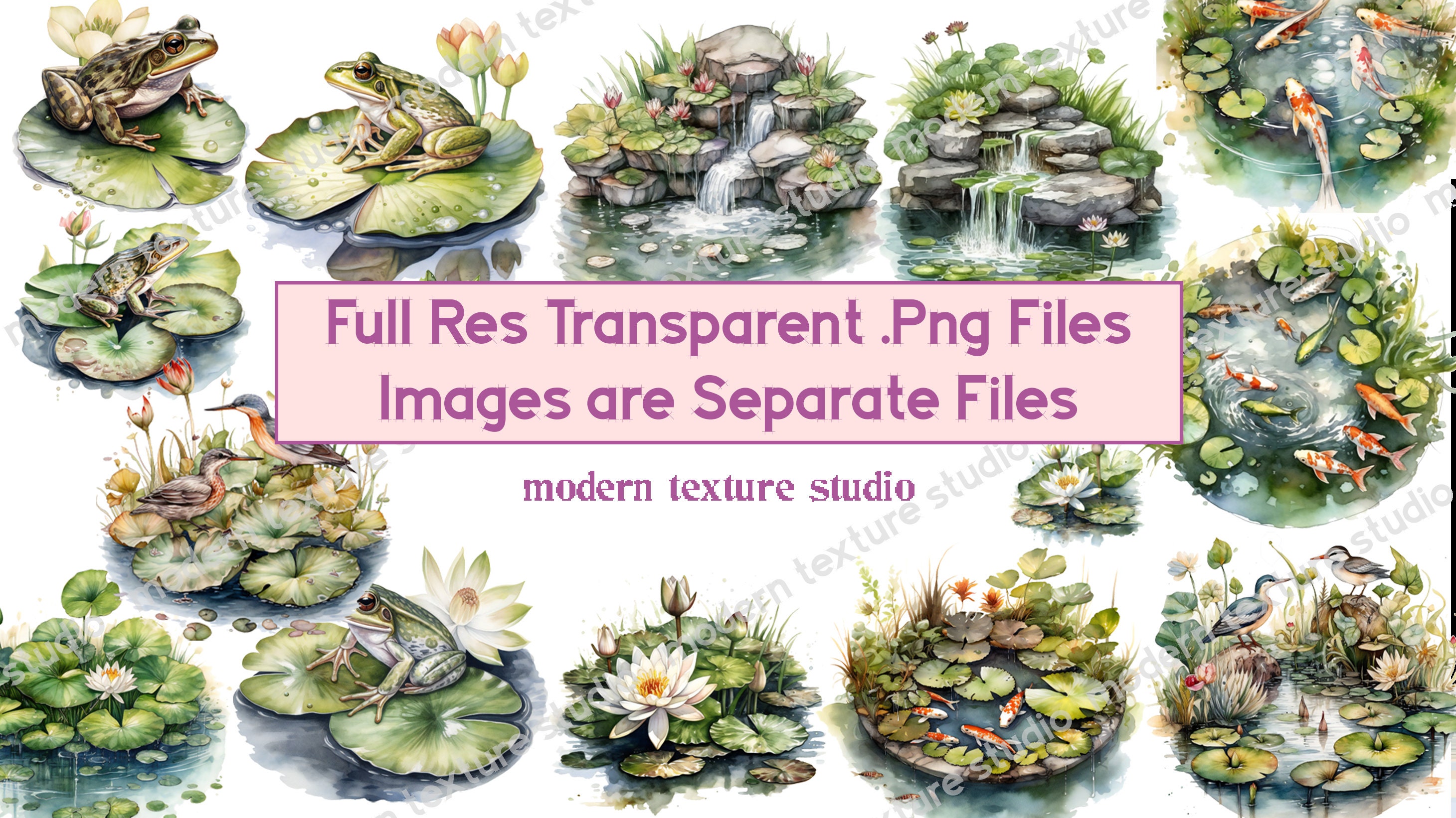 Watercolor Lily Pond Clipart - 18 Piece Transparent Springtime Cute ...