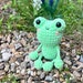 Flipsy the Froggy Crochet Amigurumi Pattern - Etsy