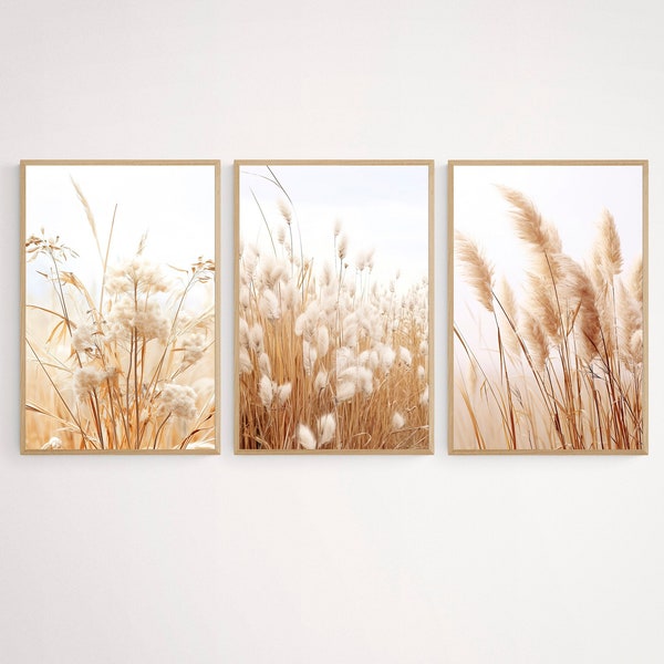 Dried Grass - Etsy