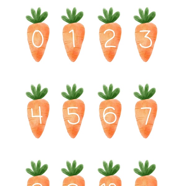 Carrot Alphabet - Etsy