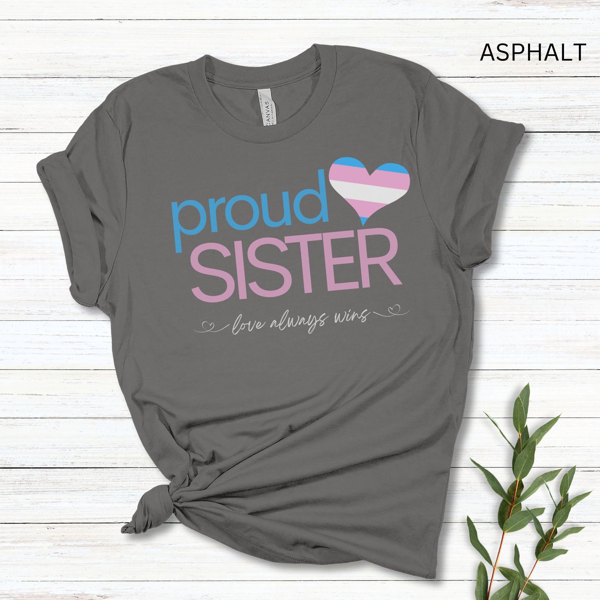 Proud Sister Trans Shirt, Gay Pride Sis, Proud Trans Sibling Tee, Trans ...