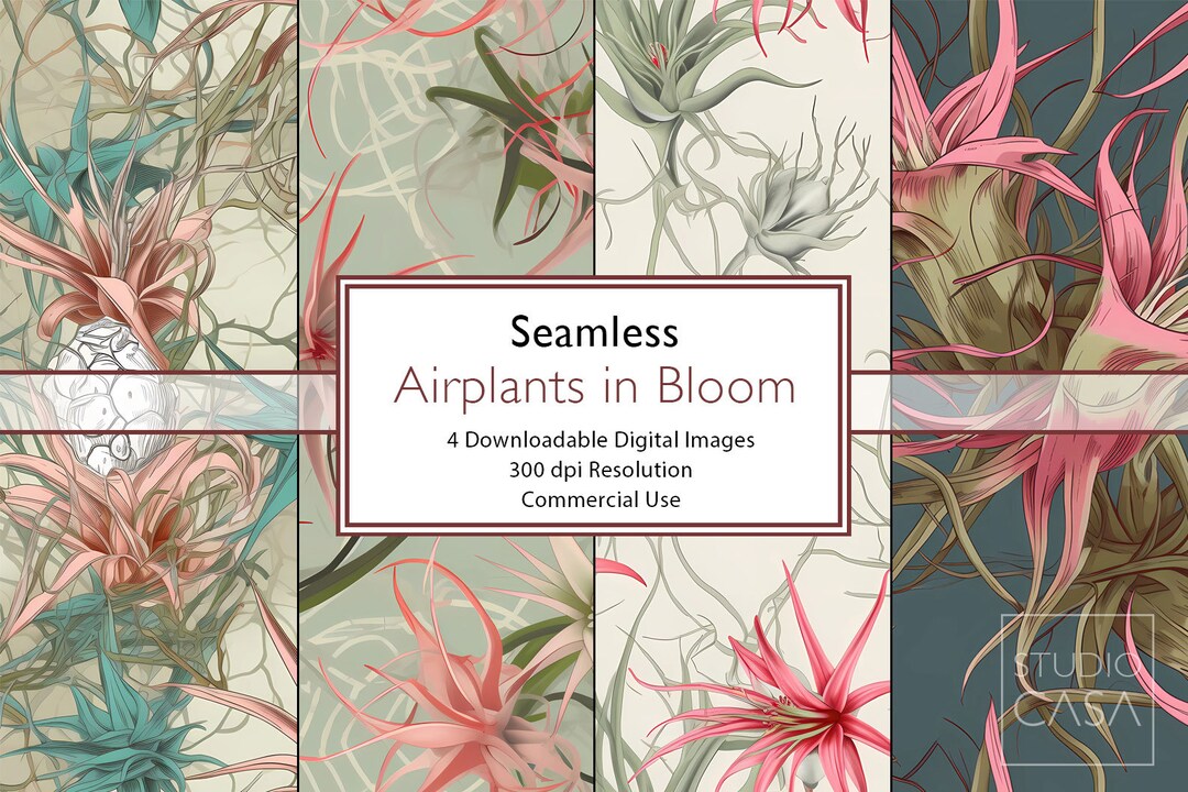 Airplants in Bloom Digital Paper Printable Download Air Plants Colorful ...