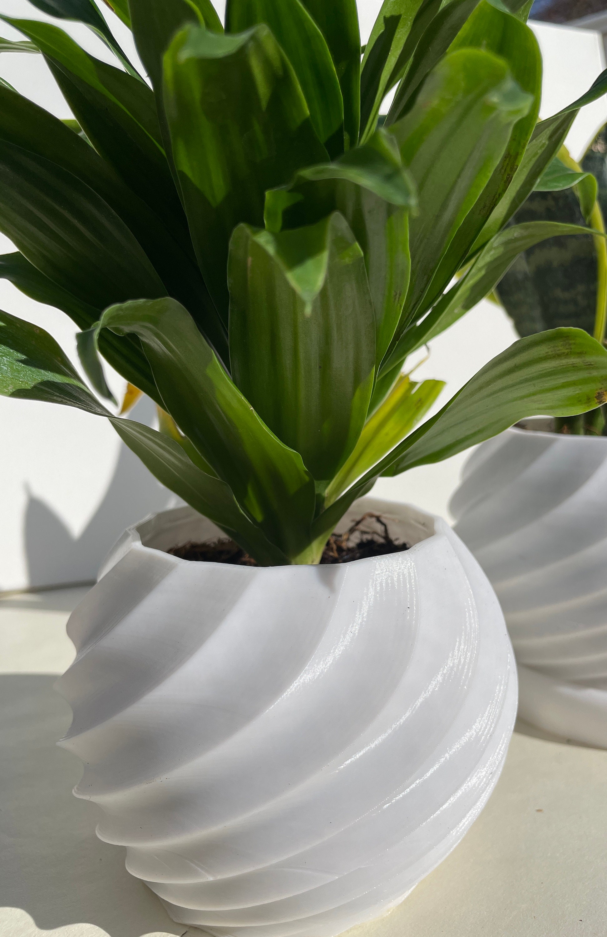 3D Printed Structural Planter (indoor/outdoor) - Etsy