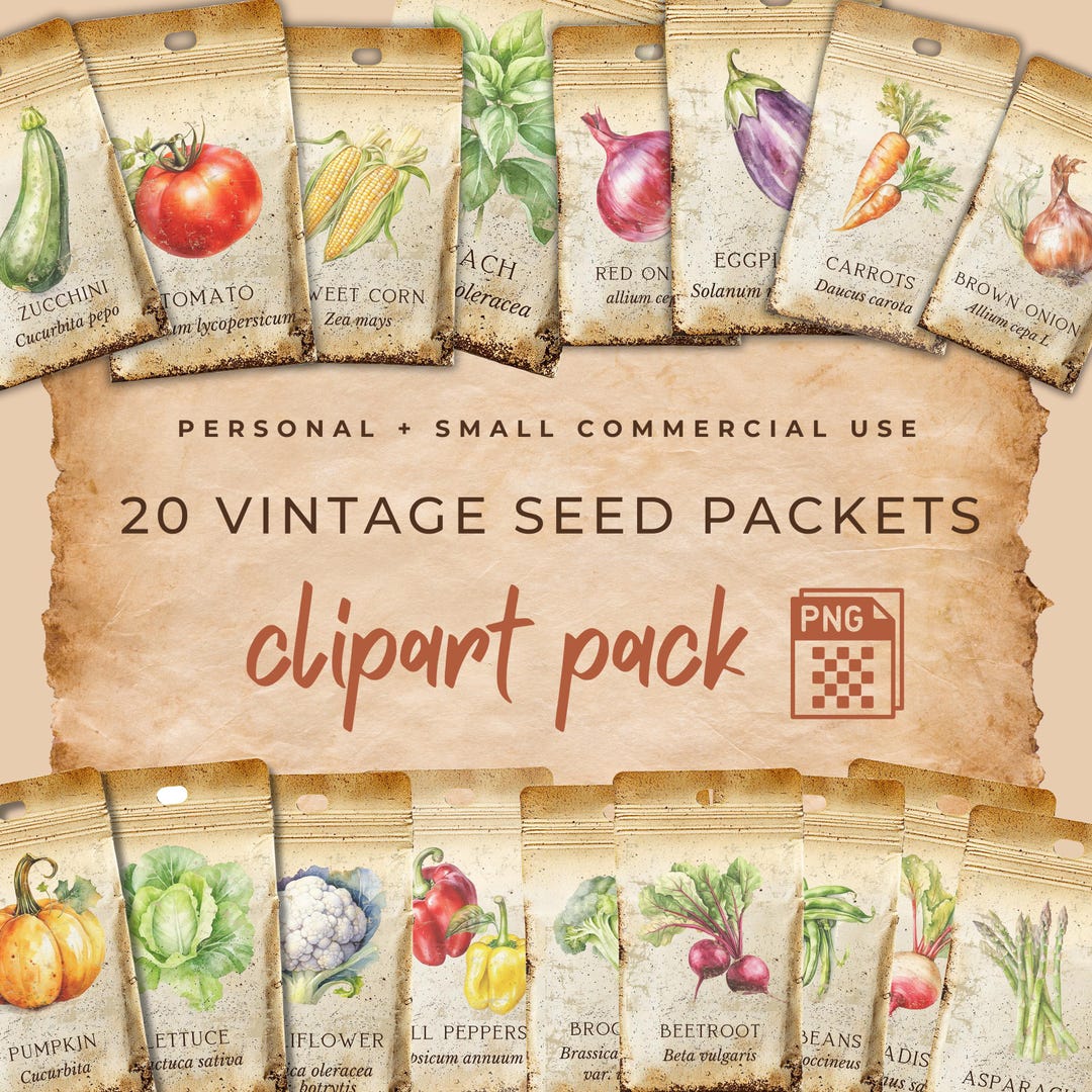 Vintage Seed Packet PNG, Watercolor Vegetable Clipart, Seed Pack Junk ...