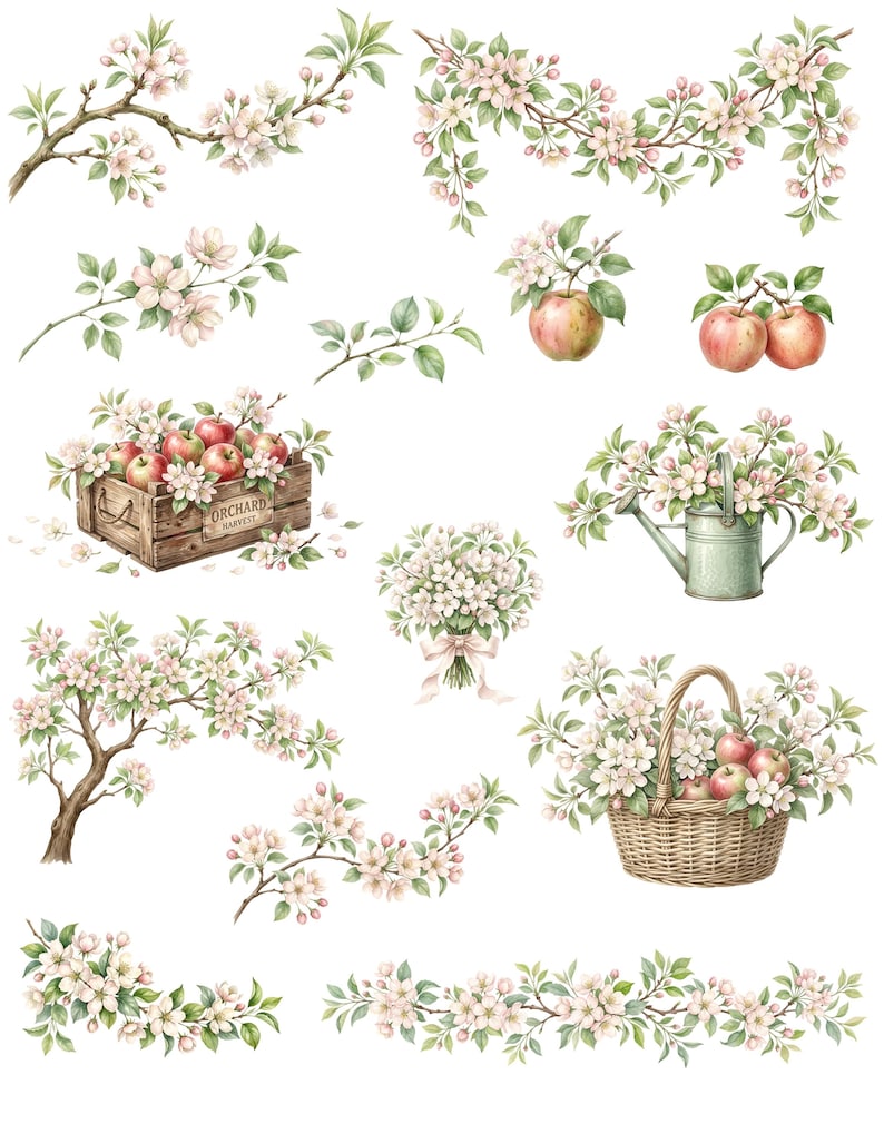 Apple Blossom Clipart, Watercolor Spring Floral PNG Graphics (digital ...