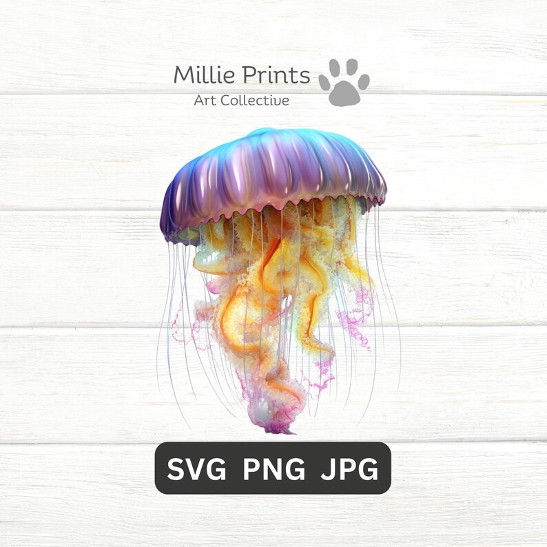 Jellyfish SVG PNG Jelly Fish SVG Cut File Cricut Clipart Graphics ...
