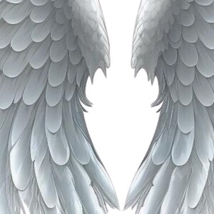 Angel Wings SVG PNG Descarga digital dxf eps jpg archivos Clipart ...