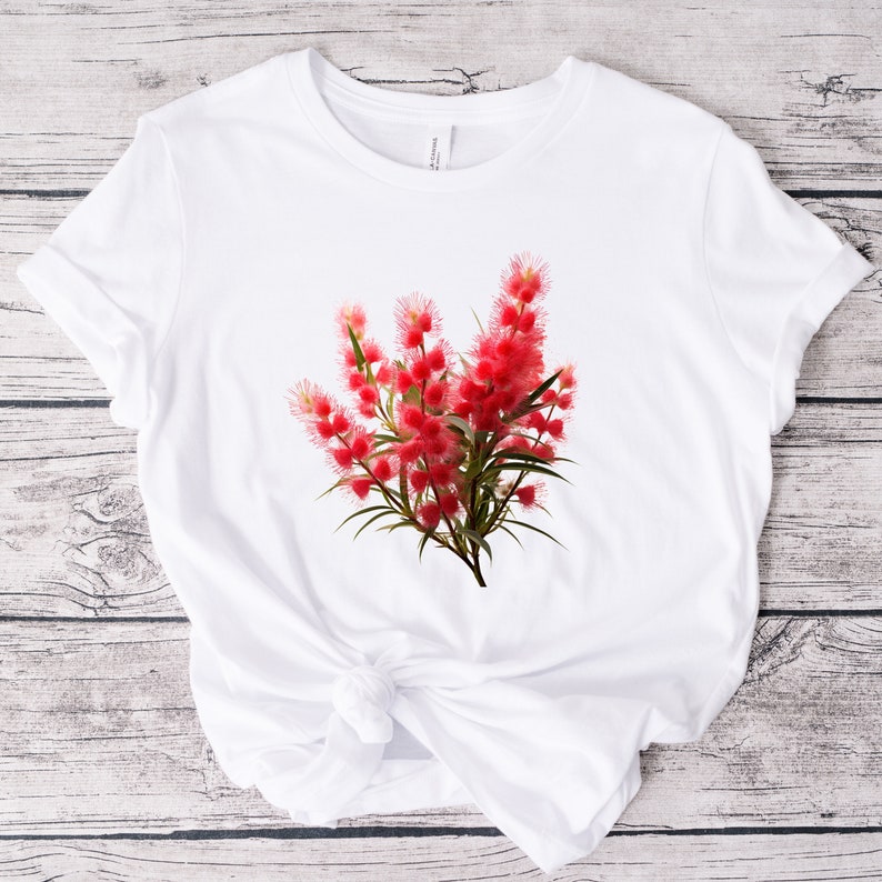 Bottle Brush SVG PNG Gift Cricut Native Flower Images Clipart Graphics ...