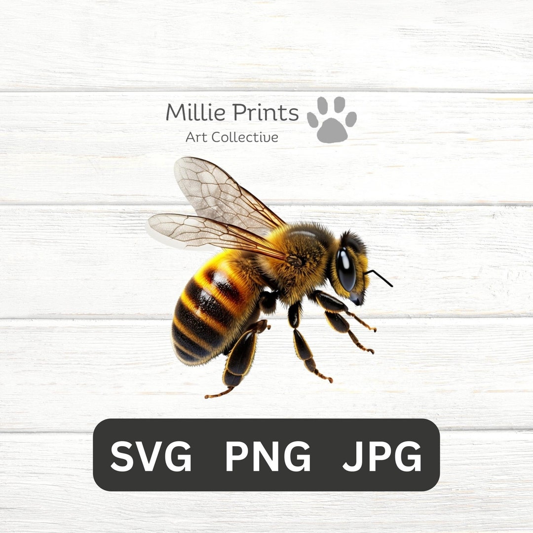Bee Clipart Cute Animals PNG Nursery Wall Art Animals Clip Art Decor ...
