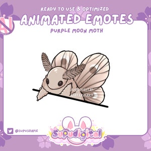 ANIMATED Moth Twitch Emote, Bongo Cat Dance, Beige Brown Nature ...