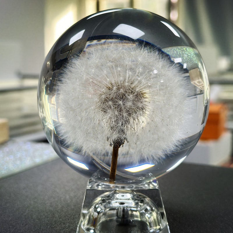 Dandelion Resin - Etsy