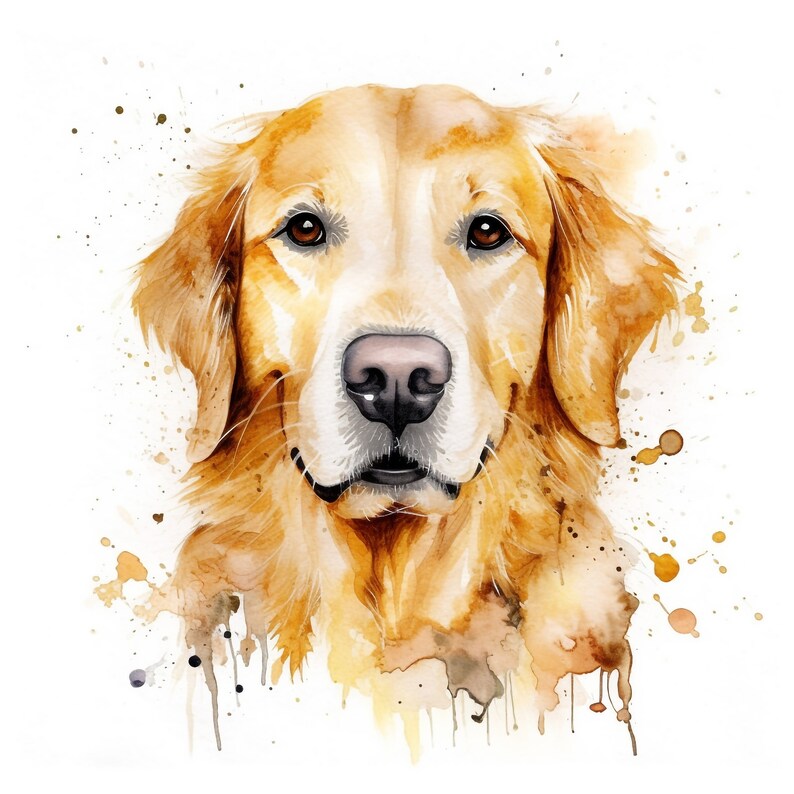 Watercolor Golden Retriever Clipart - Set of 10 High Quality Jpgs ...