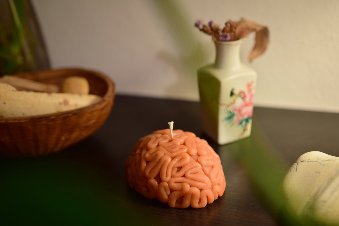 Burning Brain Candle - Beeswax - Gift Ideas - Decoration - Shaped ...