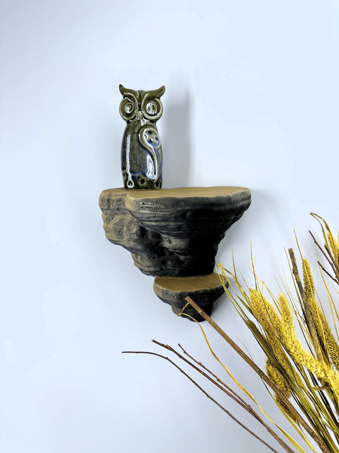 Wall Shelf Fomentarius Fungus Small Wall Shelf Plant Shelf Floating ...