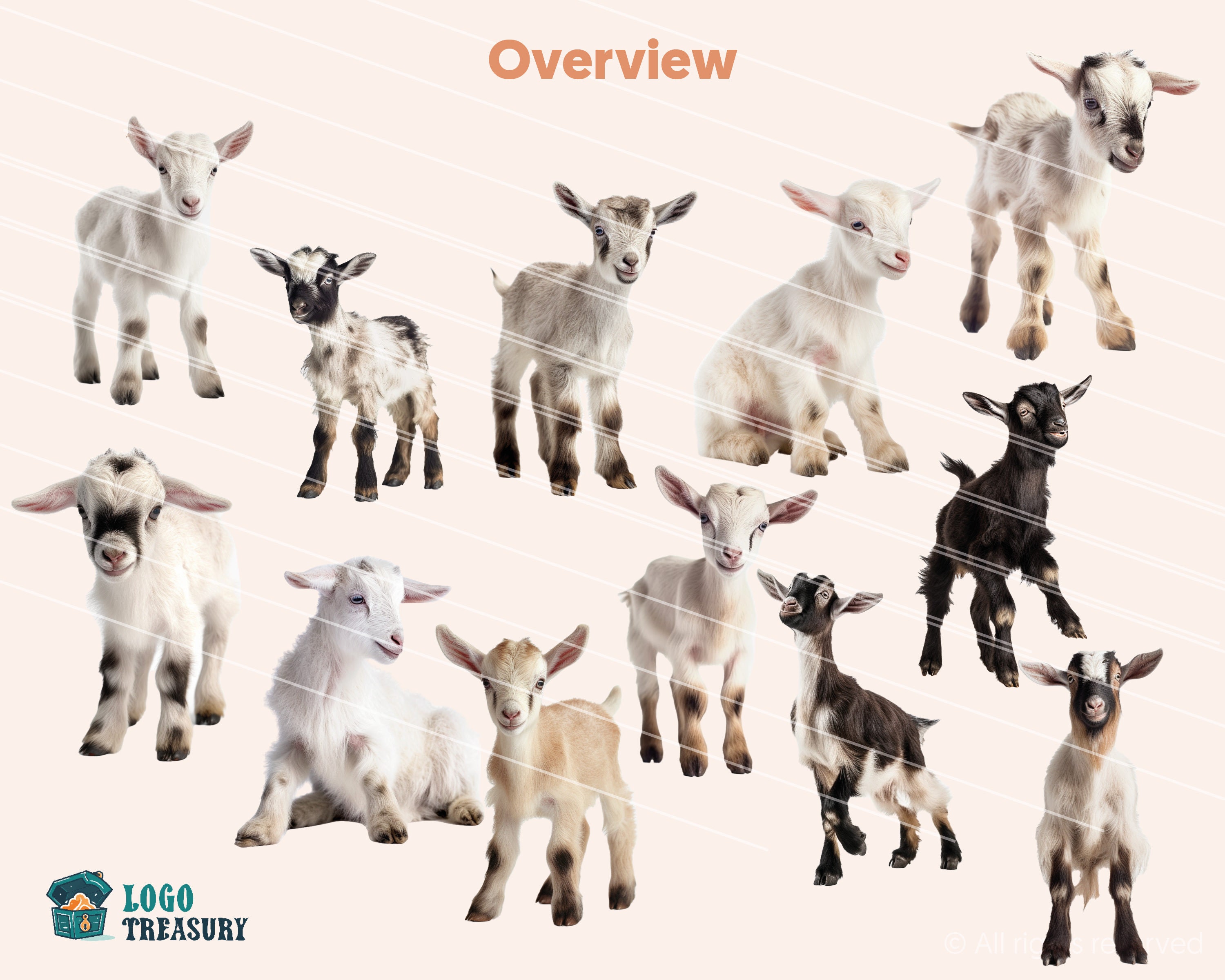 12 Baby Goat Overlays - PNG - No Background - Scrapbooking - Etsy