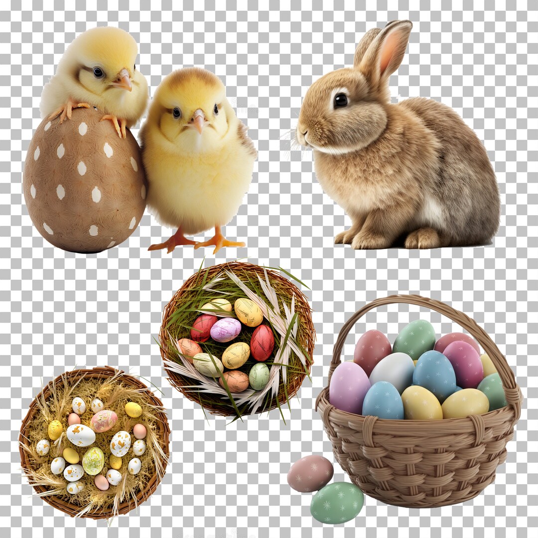 Easter Bunnies, Easter Overlays, 9 PNG, Photoshop Overlay, Bunny ...