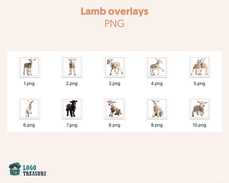 10 Lambs Overlays - PNG - No Background - Spring - Scrapbooking ...