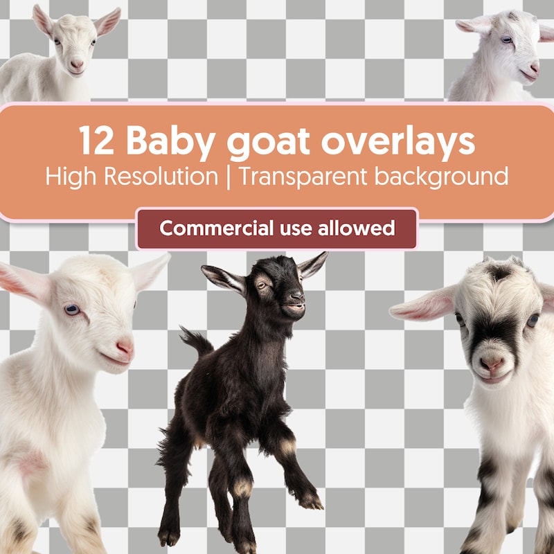 Scrapbook Overlays - Etsy