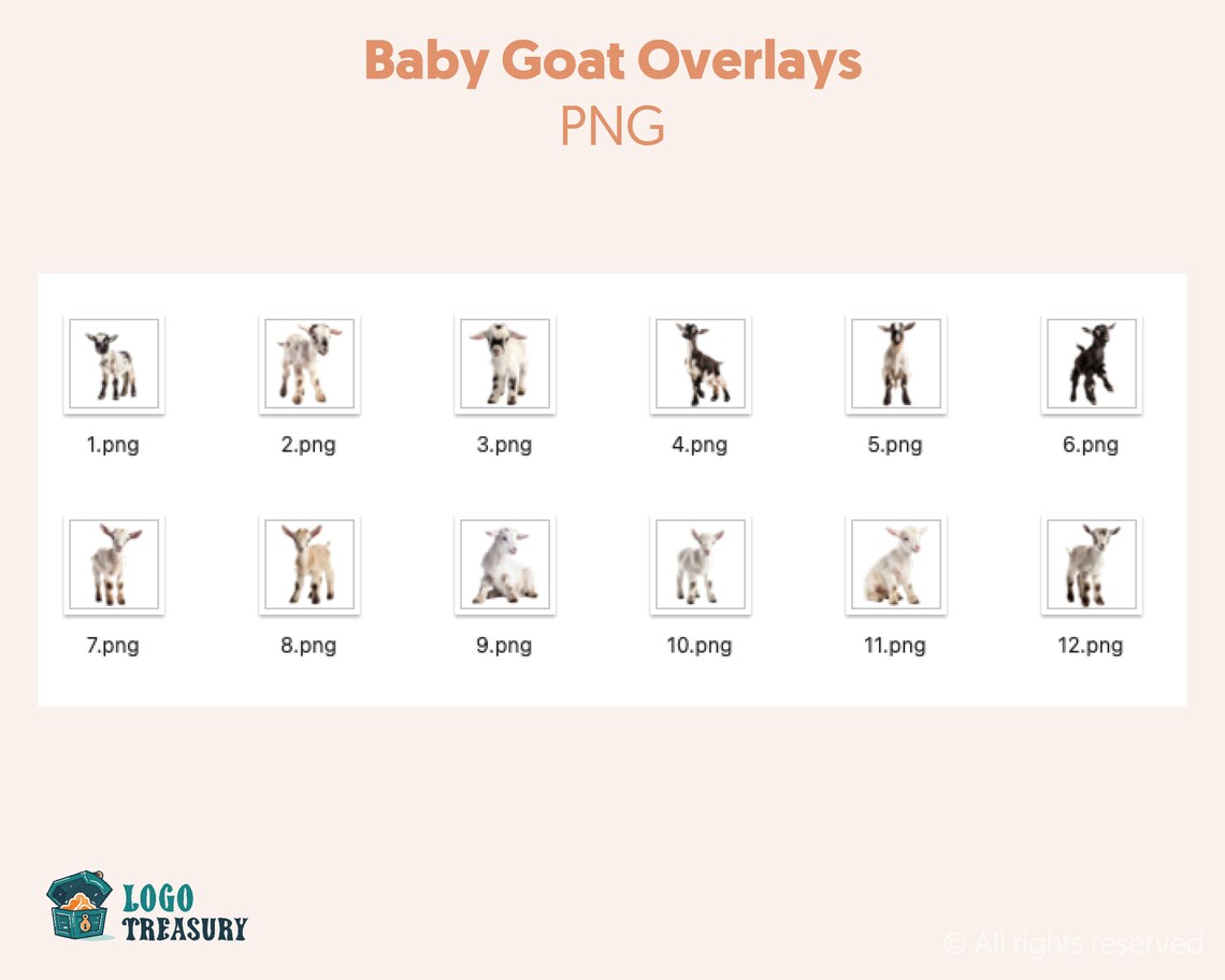 12 Baby Goat Overlays - PNG - No Background - Scrapbooking - Etsy