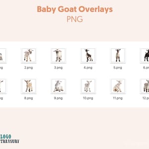 12 Baby Goat Overlays - PNG - No Background - Scrapbooking - Etsy