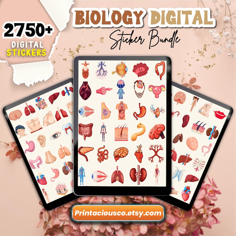 Human Anatomy Stickers - Etsy