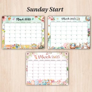 Editable March 2025 Calendar | Printable Wall Calendar 2025 | Fillable ...