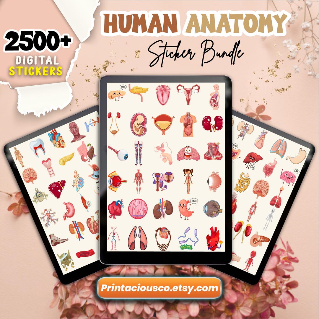 2500+ Human Anatomy Stickers | Medical Stickers|biology & Anatomy ...