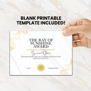 40 Employee Appreciation Award Certificates: Printable Recognition (PDF ...