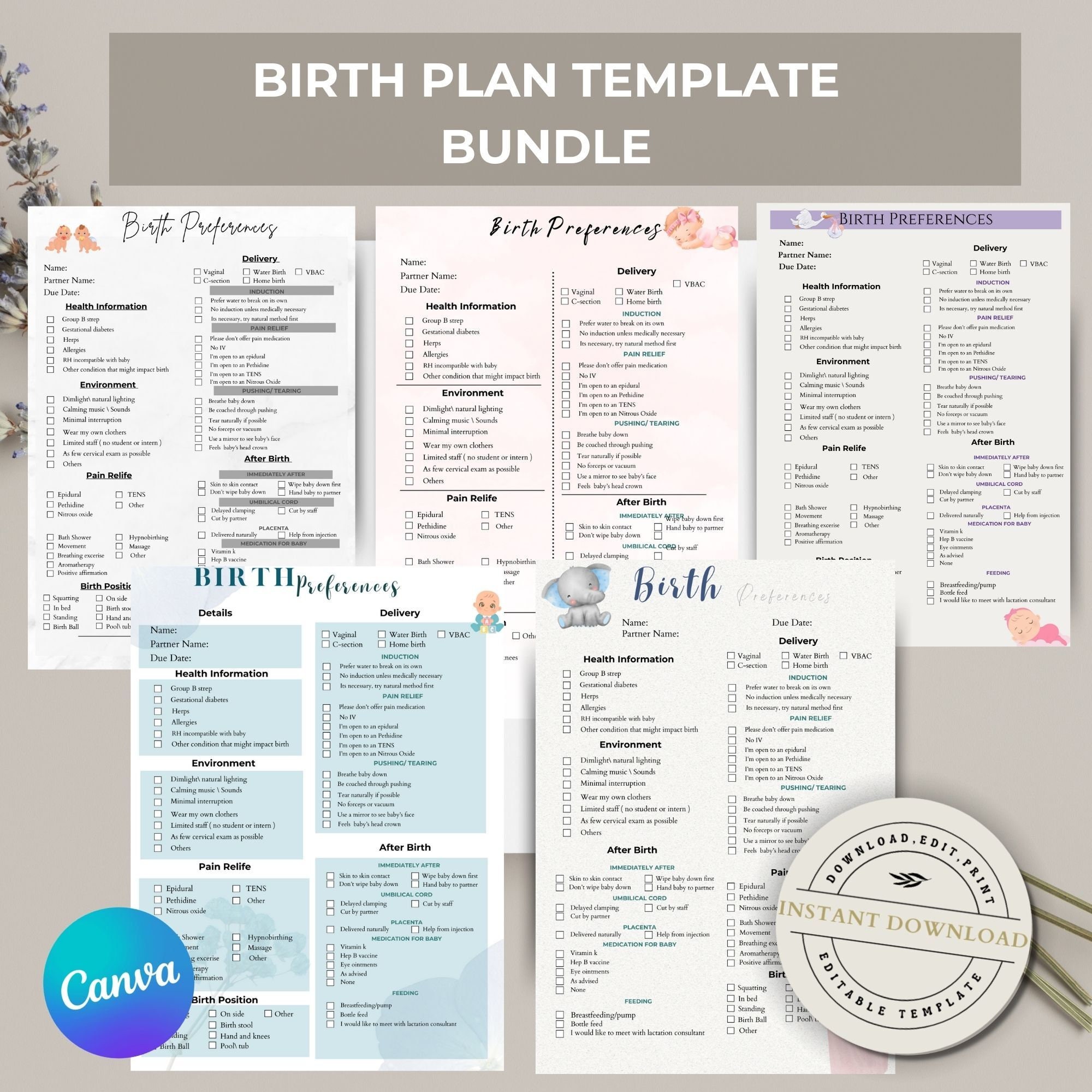 10 Birth Plan Template Bundle Visual Birth Plan Birth Chart Editable ...