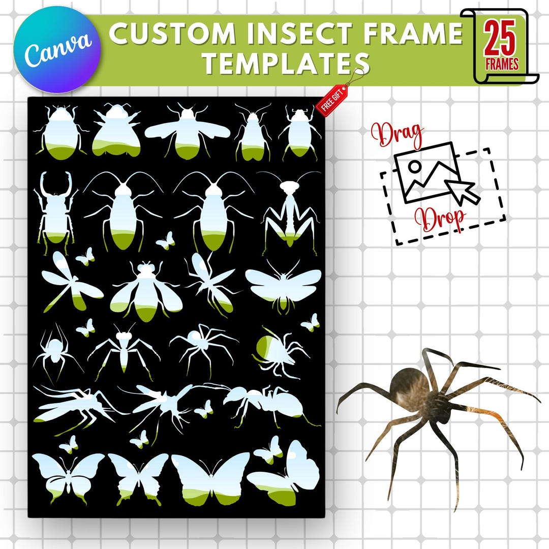 Insect Canva Frame Templates: Butterfly & Spider Clipart (digital ...