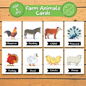Farm Animals Cards Bundle 40 Editable Montessori Cards Farm Animals ...