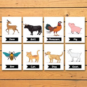 Farm Animals Cards Bundle 40 Editable Montessori Cards Farm Animals ...