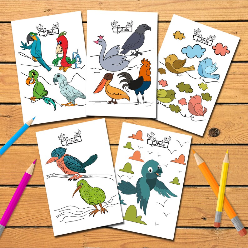 Dibujos de aves para colorear: 25 hojas imprimibles para niños (PDF ...