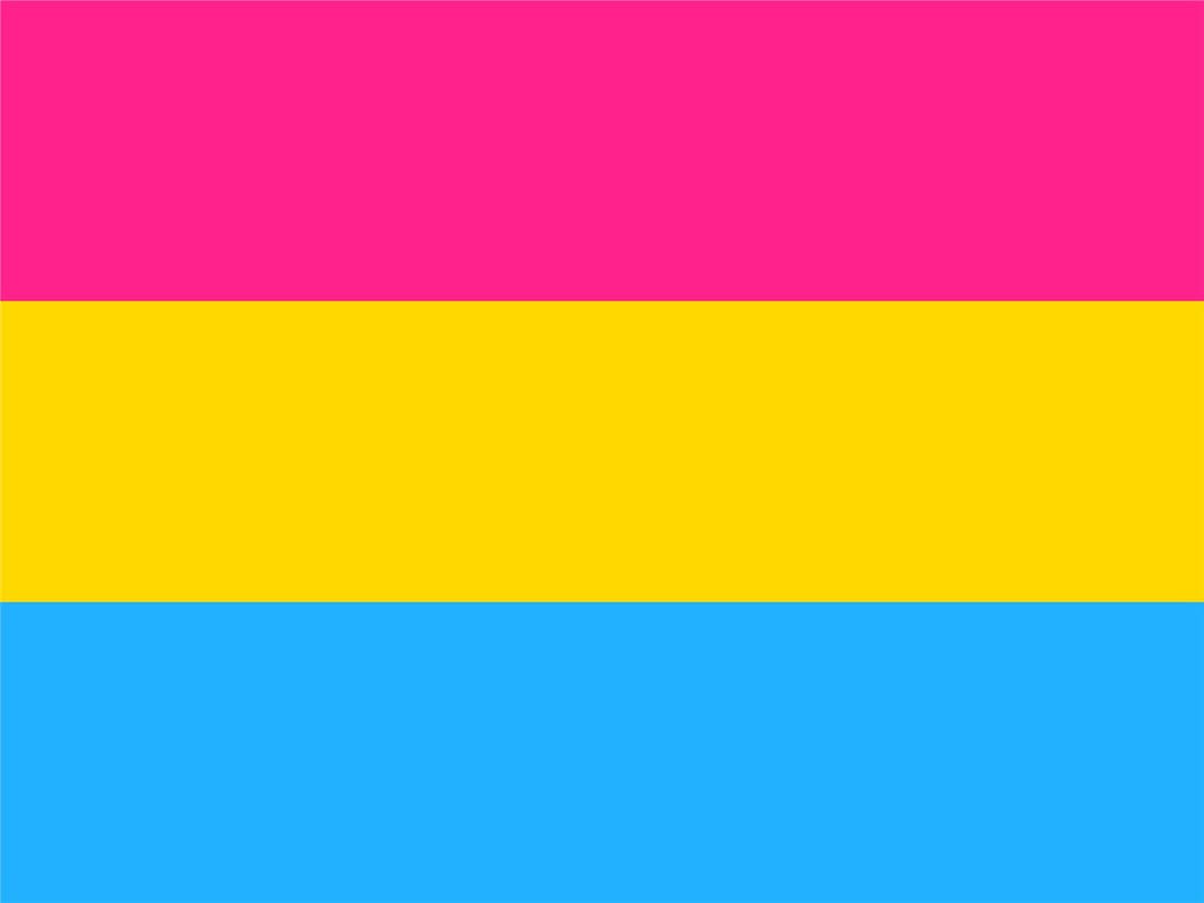 Pansexual Pride Flag Lgbt Rainbow Pan Gay Stick 3x5 Lgbtqia - Etsy