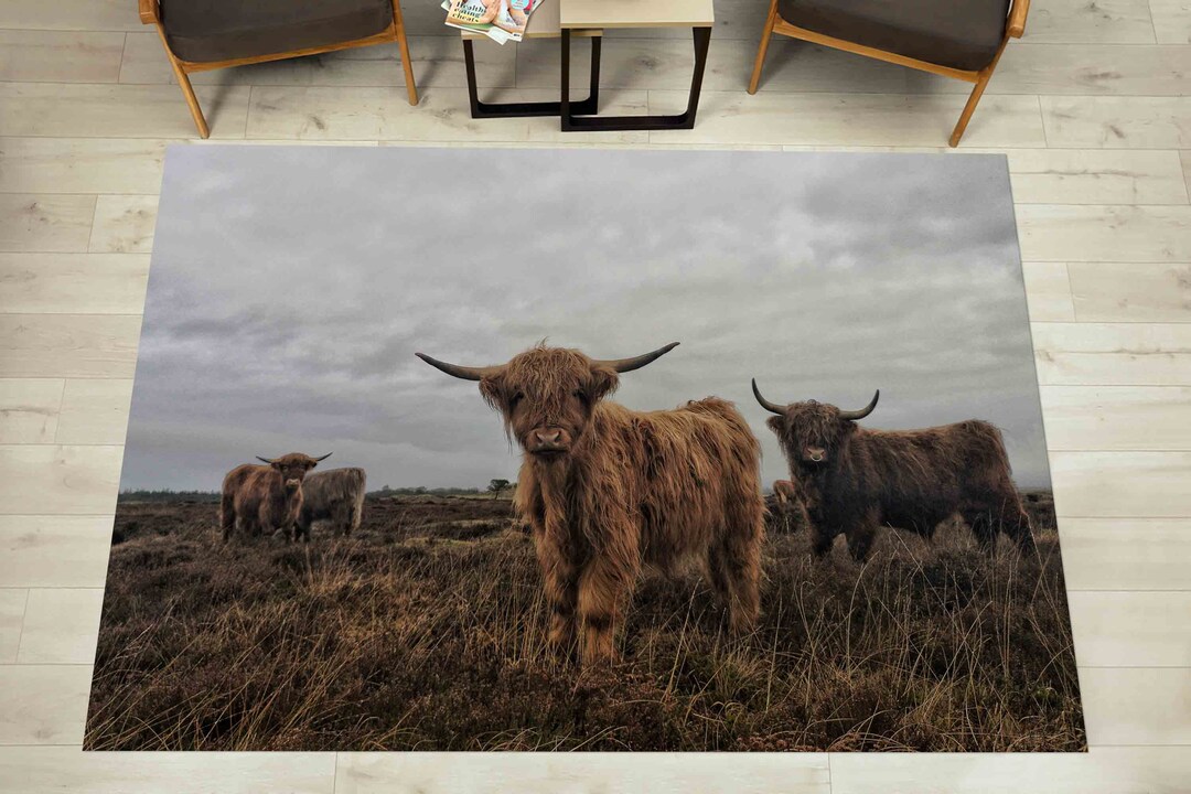Highland Cow Rug: Wildlife Animal Print, Office Decor - Etsy